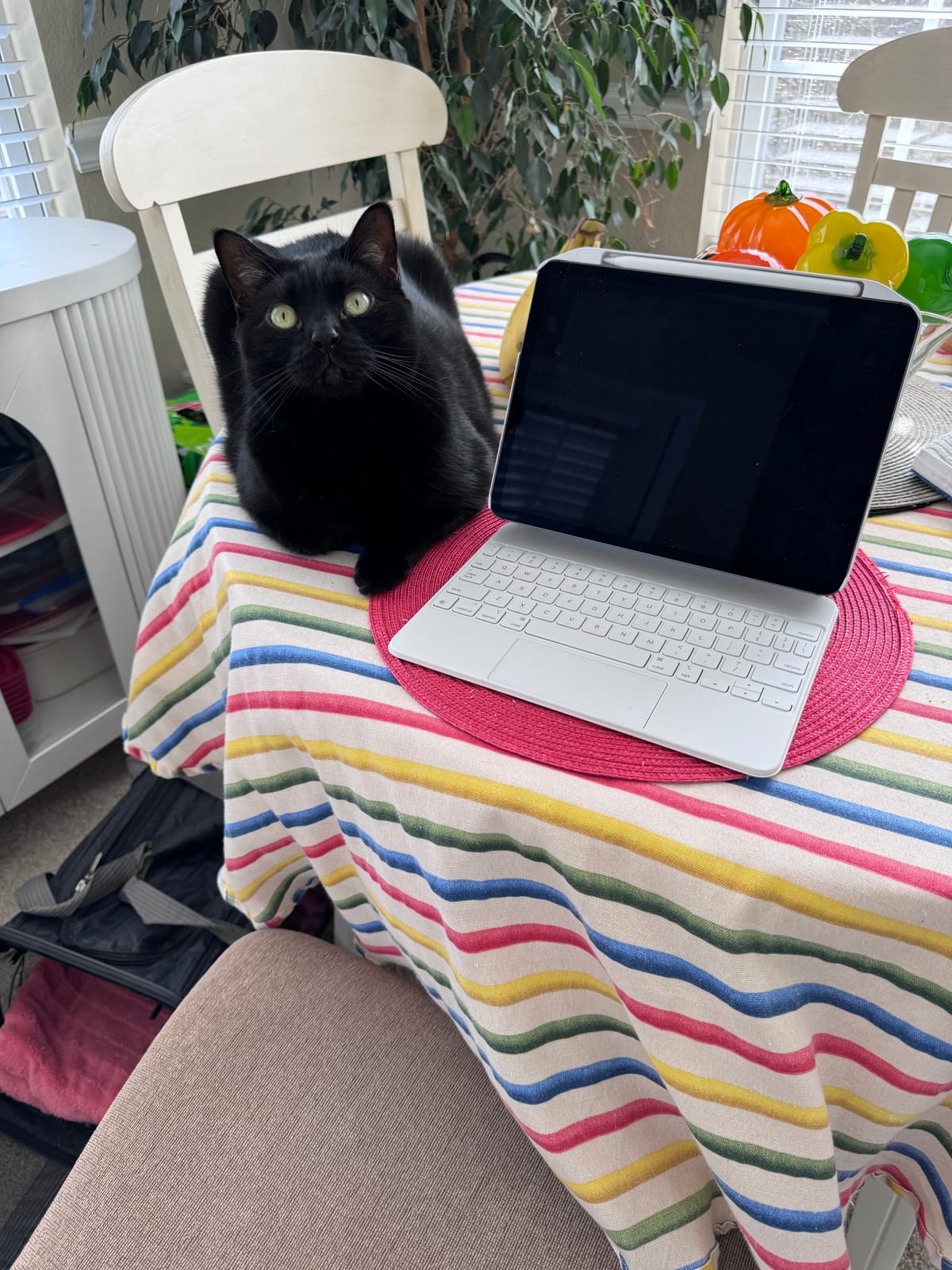 “I love deadlines. I like the whooshing sound they make as they fly by ...